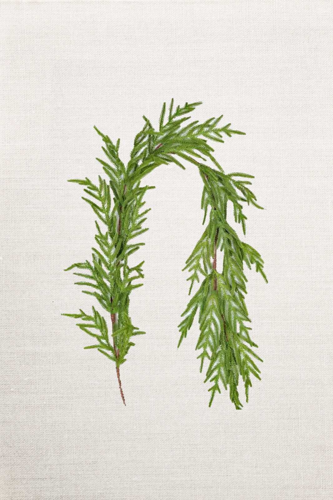5ft Sparse Garland Soft-Touch Faux Norfolk Garland – Casa Refined Shop