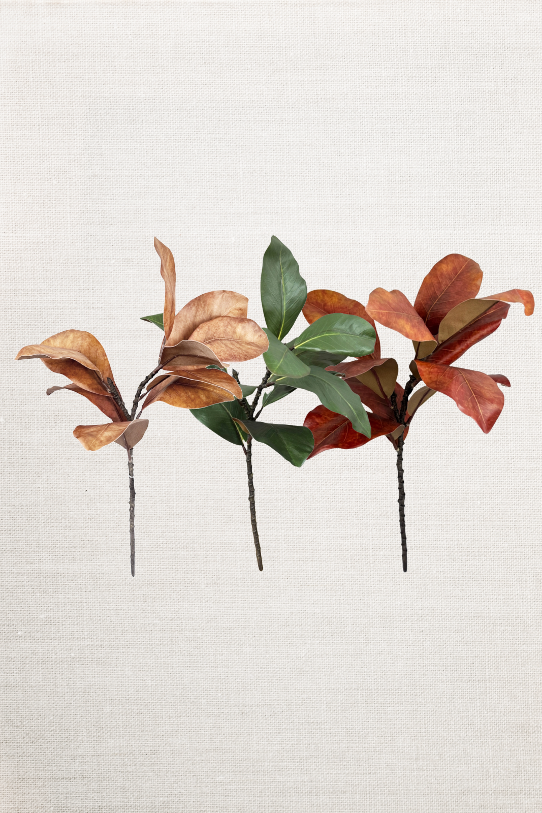 22in Faux Real-Touch Magnolia Stem – Casa Refined Shop